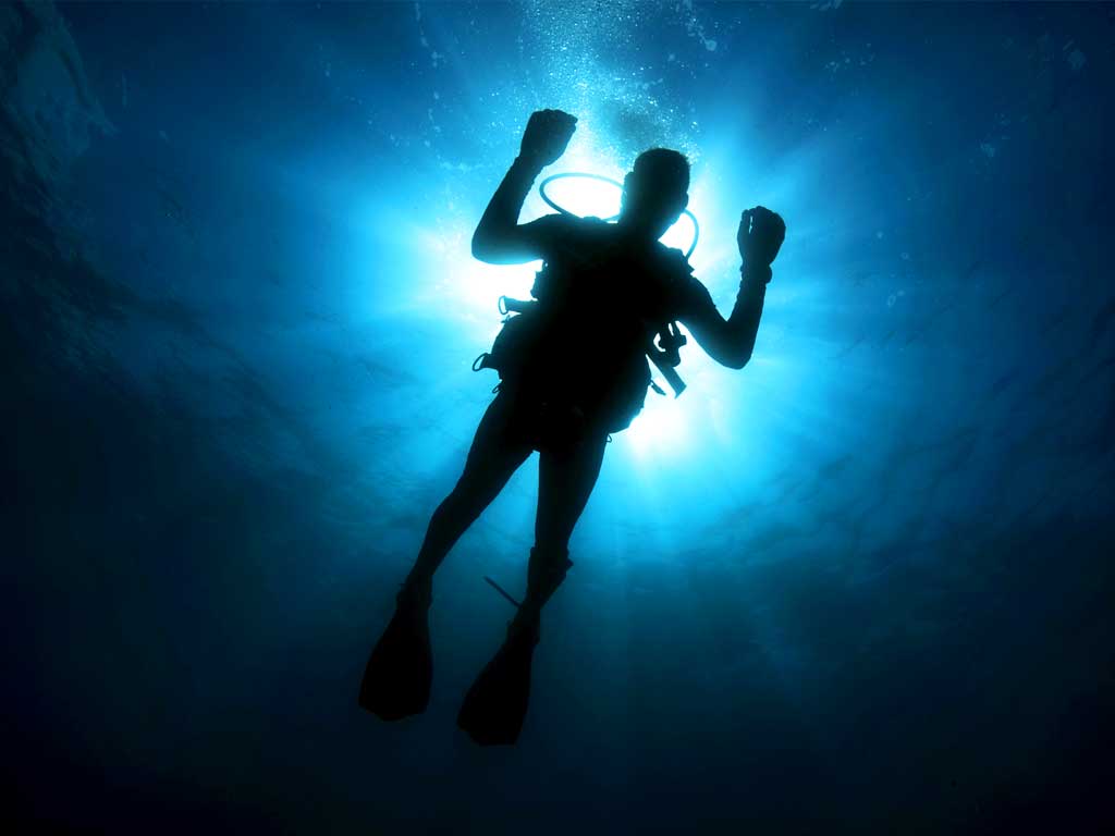 Meetings and Events: How to Plan and Build Immersive Experience - The ...